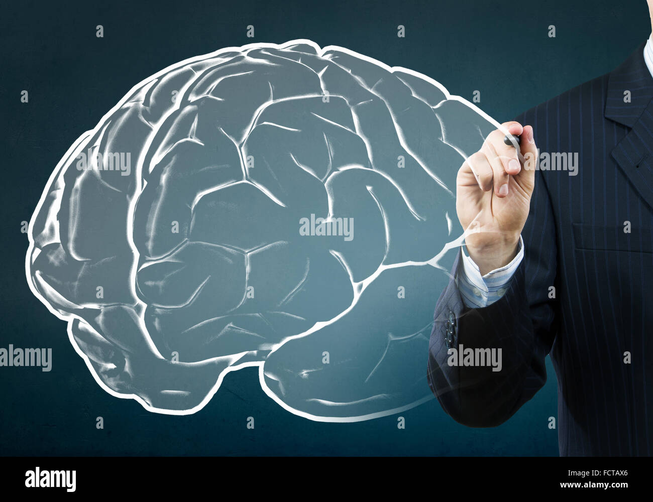 Close up of businessman drawing human brain on screen Stock Photo - Alamy