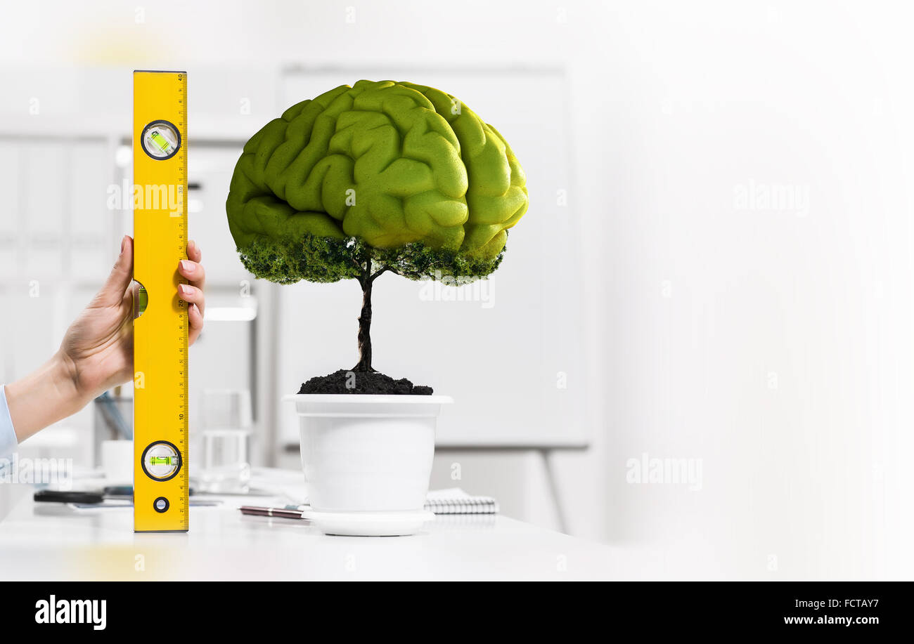 Close up of human hand measuring plant in pot with ruler Stock Photo ...