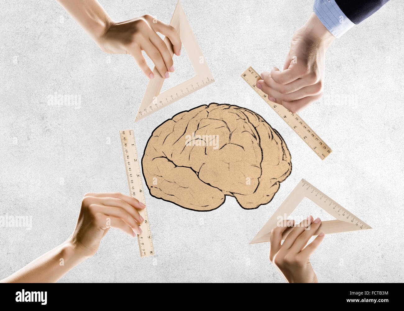 Close up of people hands measuring brain with ruler Stock Photo - Alamy