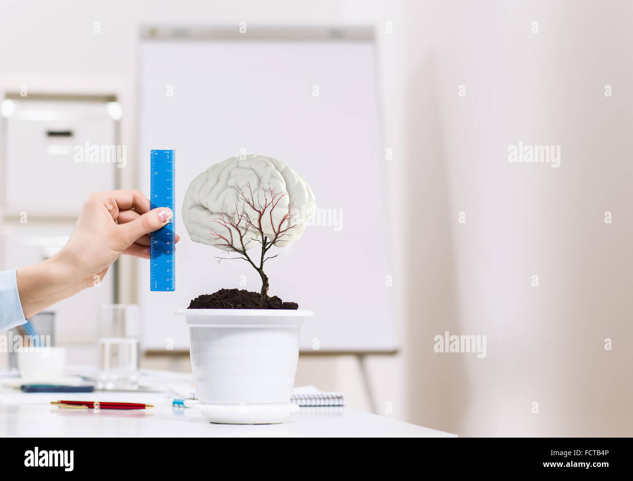 Close up of human hand measuring plant in pot with ruler Stock Photo ...
