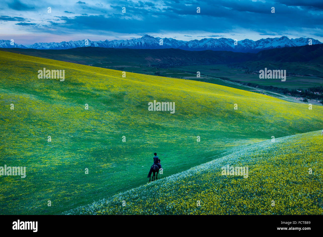 Xinjiang tianshan grassland hi-res stock photography and images - Alamy