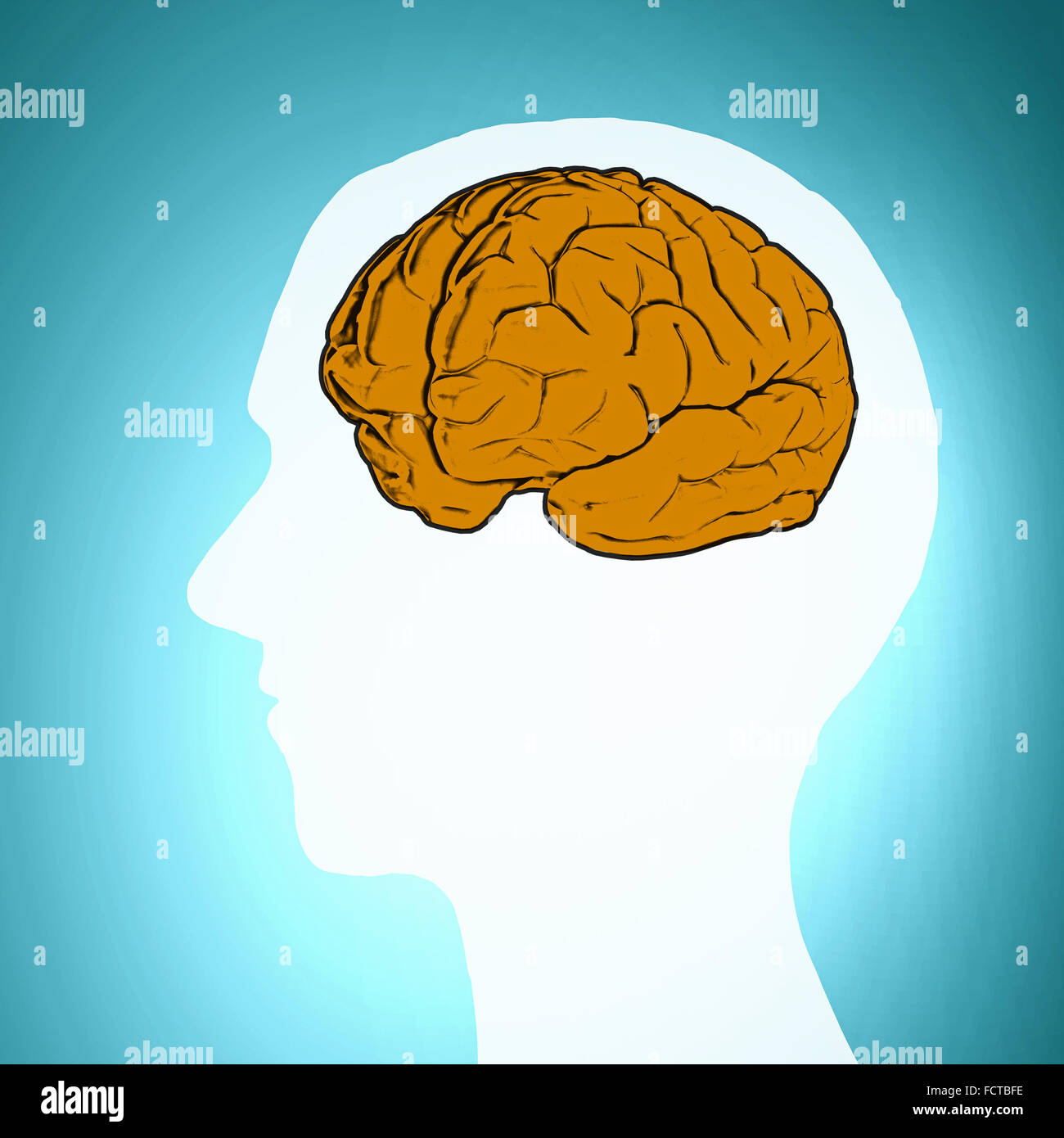Silhouette of human head with brain on color background Stock Photo - Alamy