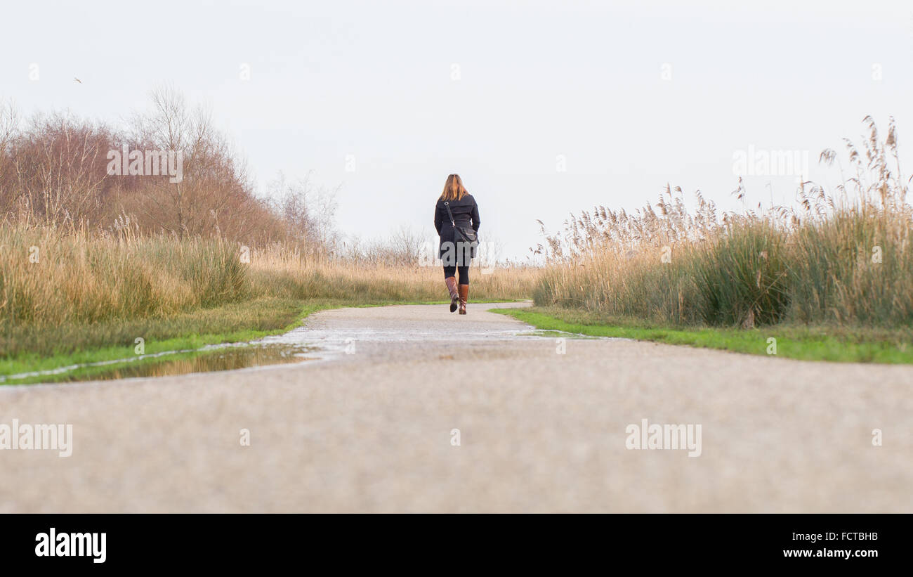 Young woman walking in a typical dutch landscape Stock Photo - Alamy