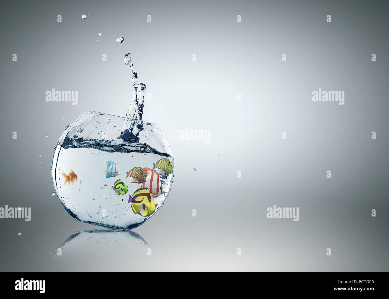Exotic fish in round aquarium with clear blue water Stock Photo - Alamy