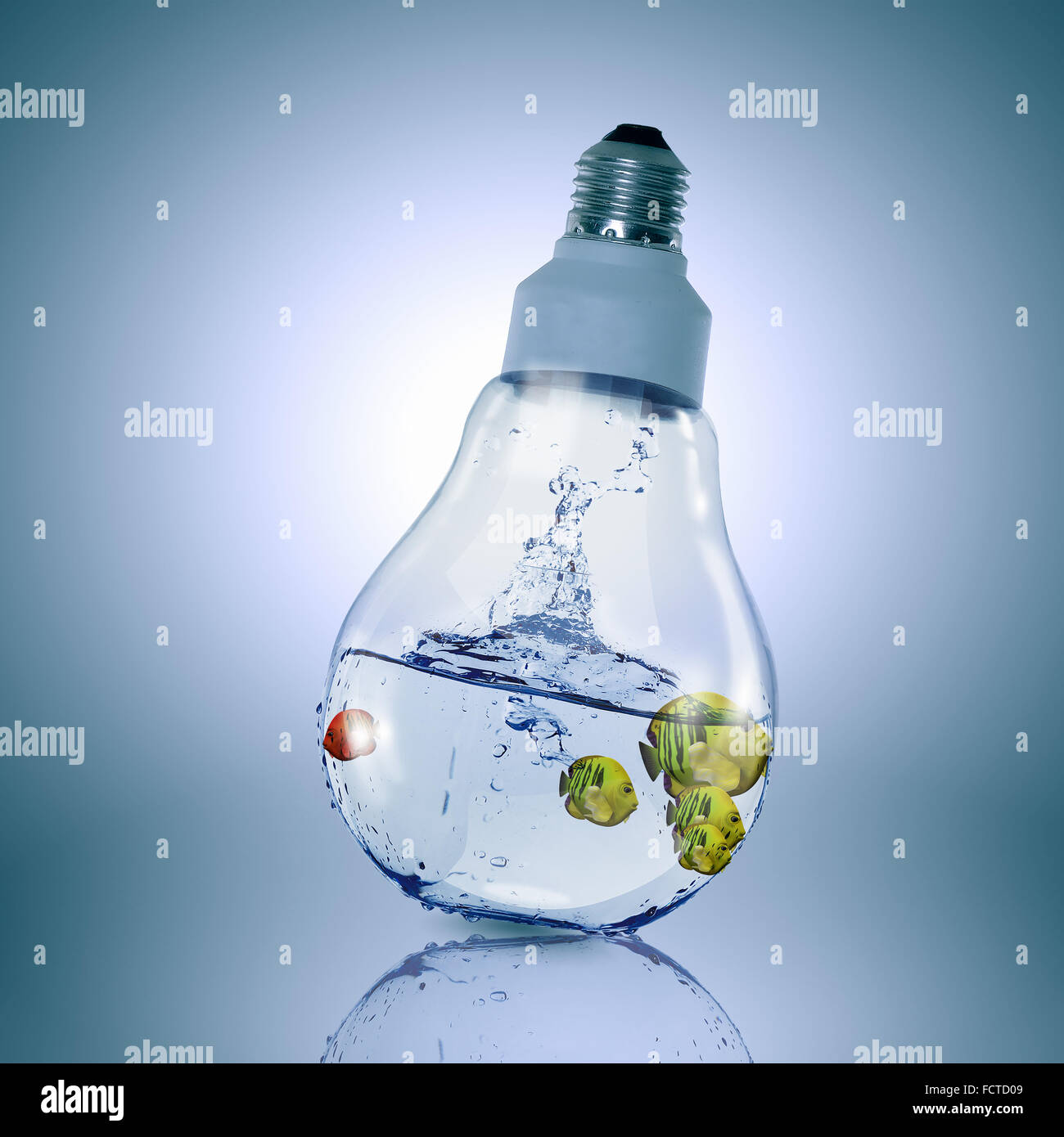 Exotic fish in water inside electric light bulb Stock Photo - Alamy