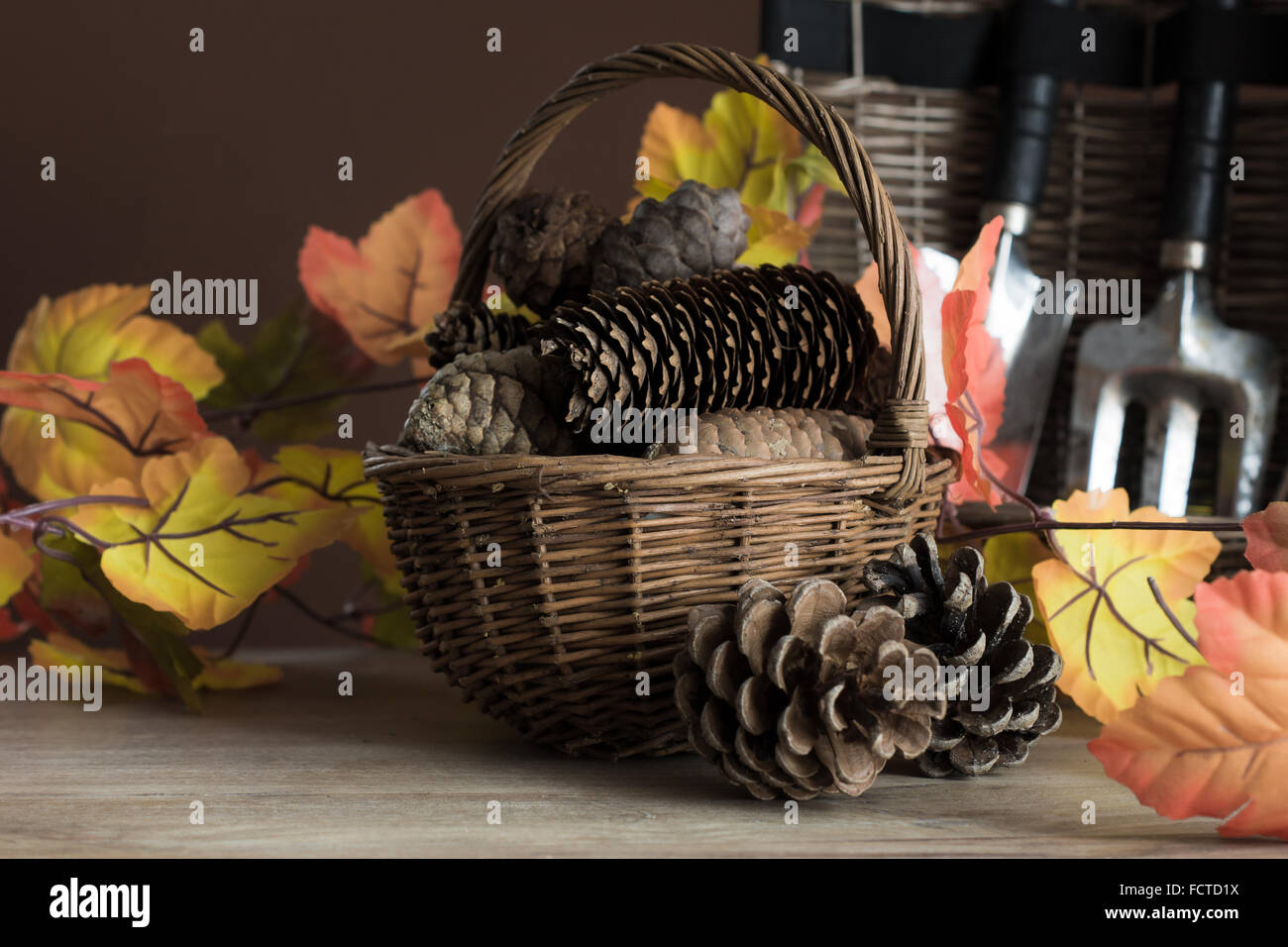 Garden tools for autumn with pine cones and autumn foliage Stock Photo ...