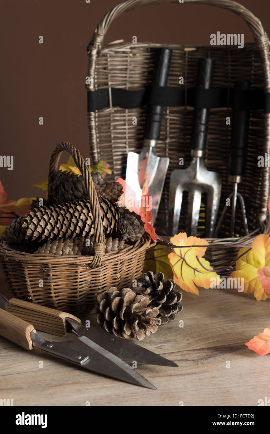 Garden tools for autumn with pine cones and autumn foliage Stock Photo ...
