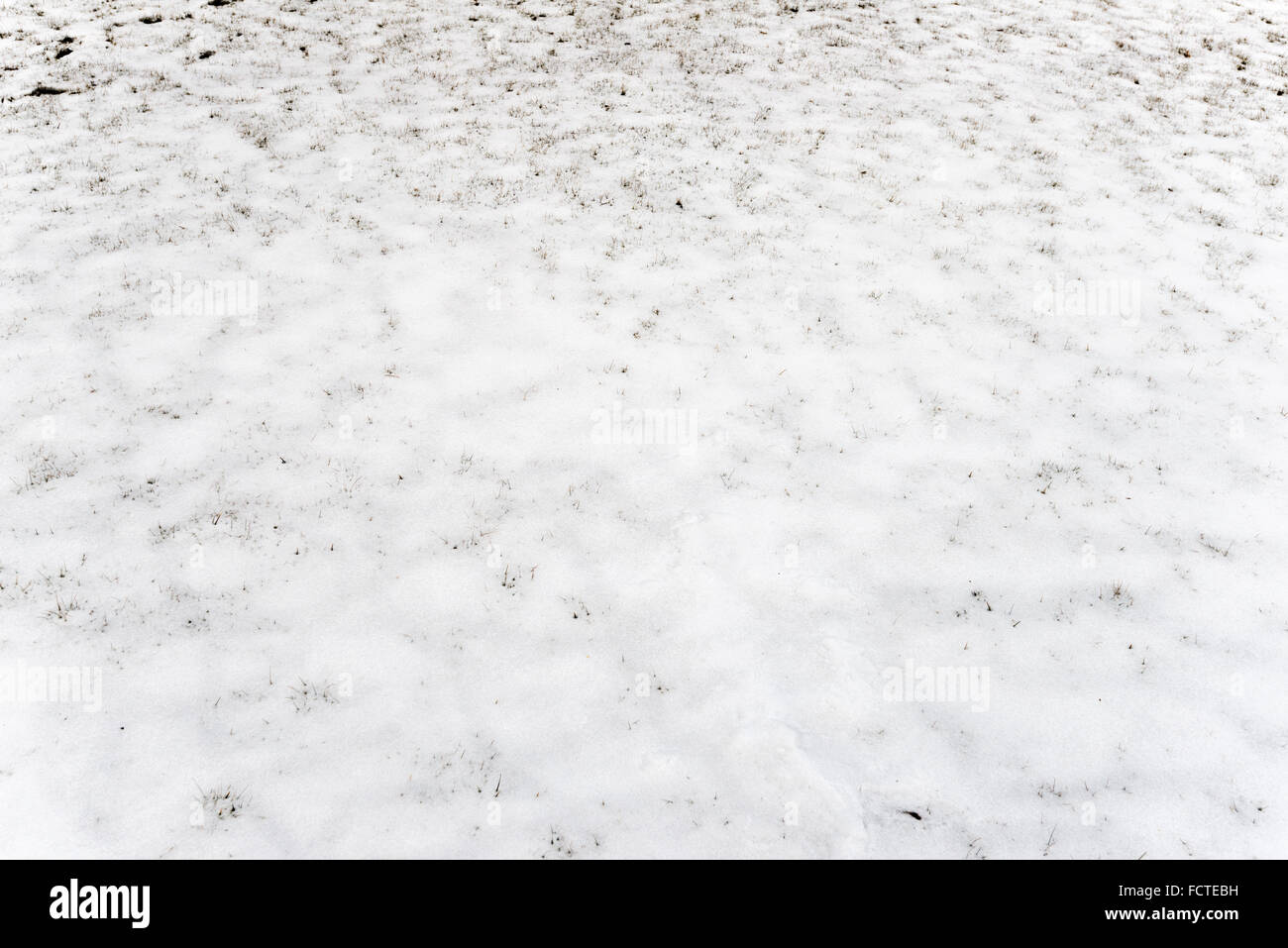 Green field winter hi-res stock photography and images - Alamy