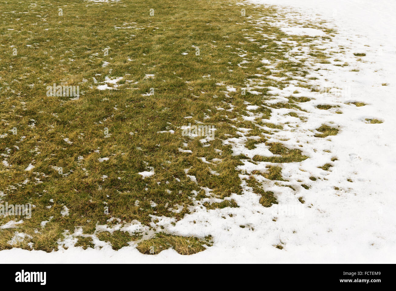 Green field winter hi-res stock photography and images - Alamy