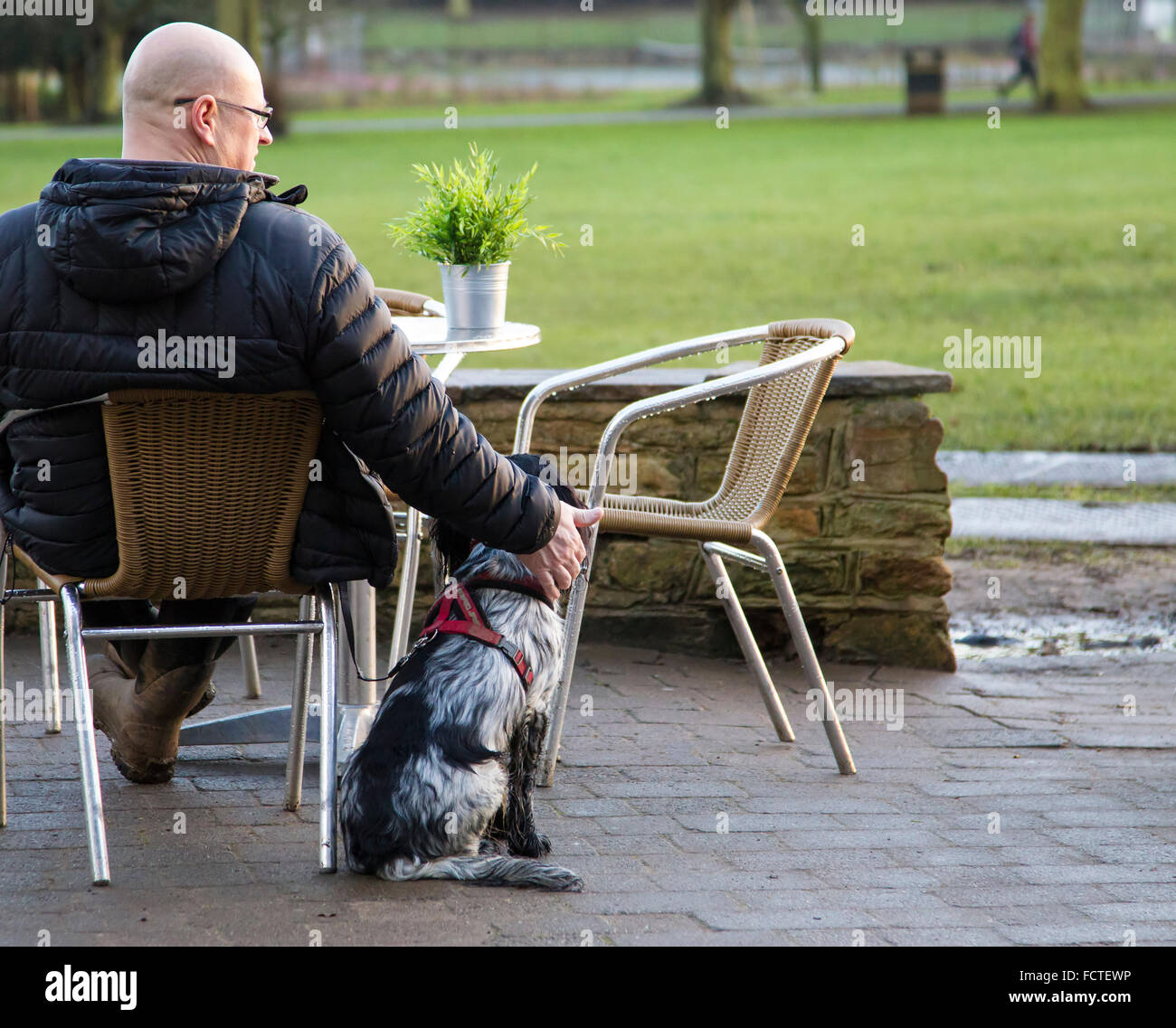 Man sat outside of cafe making a fuss of his dog Stock Photo - Alamy