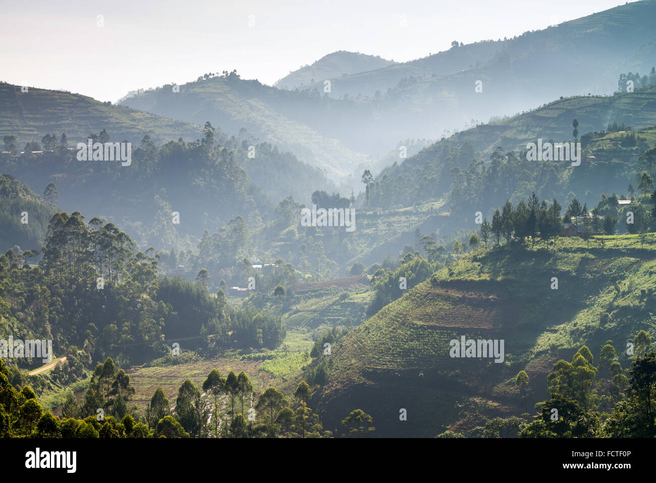 landscape with agricultural land, Bwindi National Park in southern ...