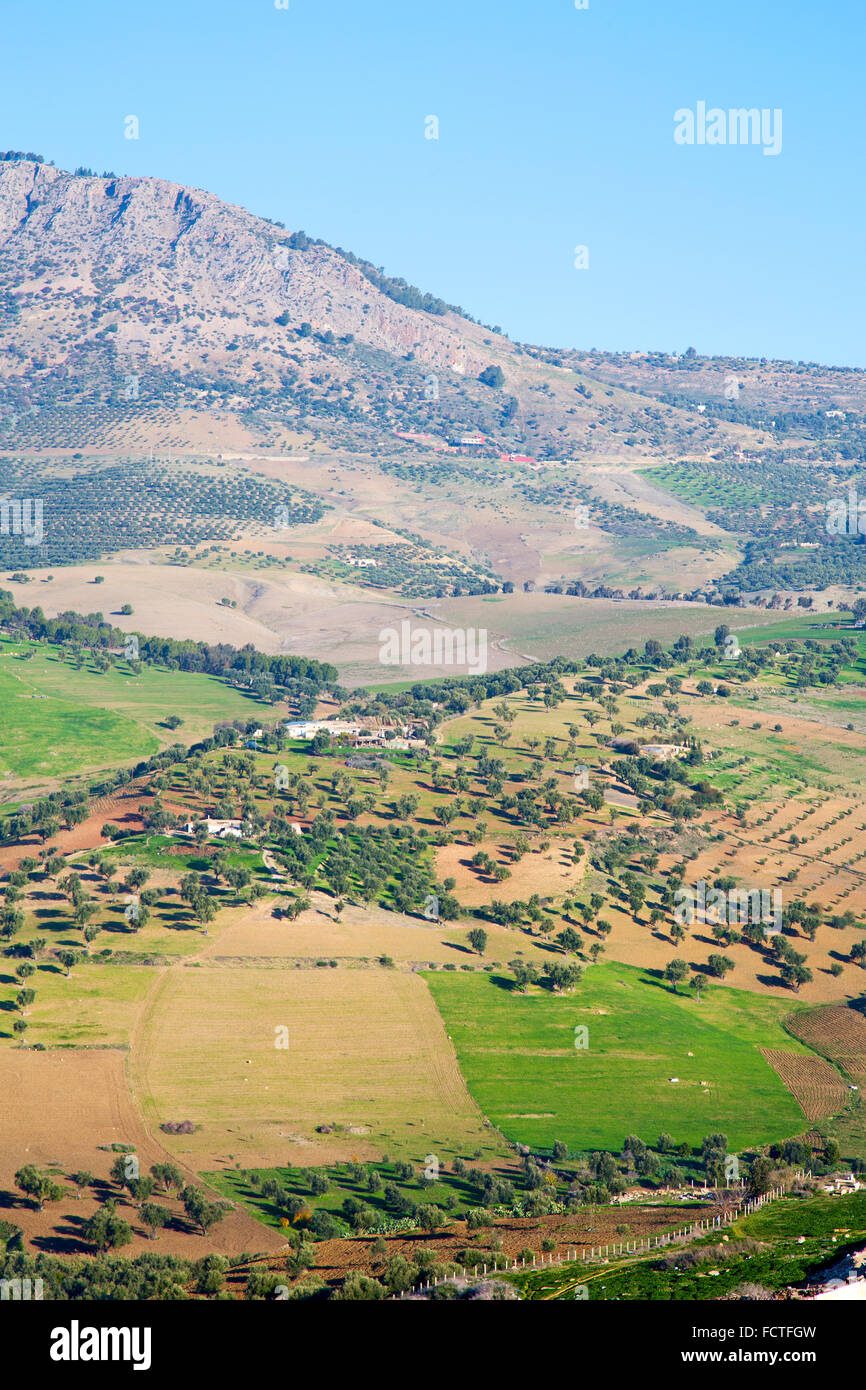 from high in the village morocco africa field and constructions Stock ...