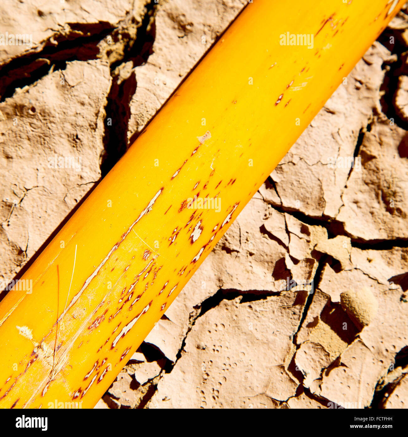 cracked sand in morocco africa desert abstract macro bark Stock Photo ...