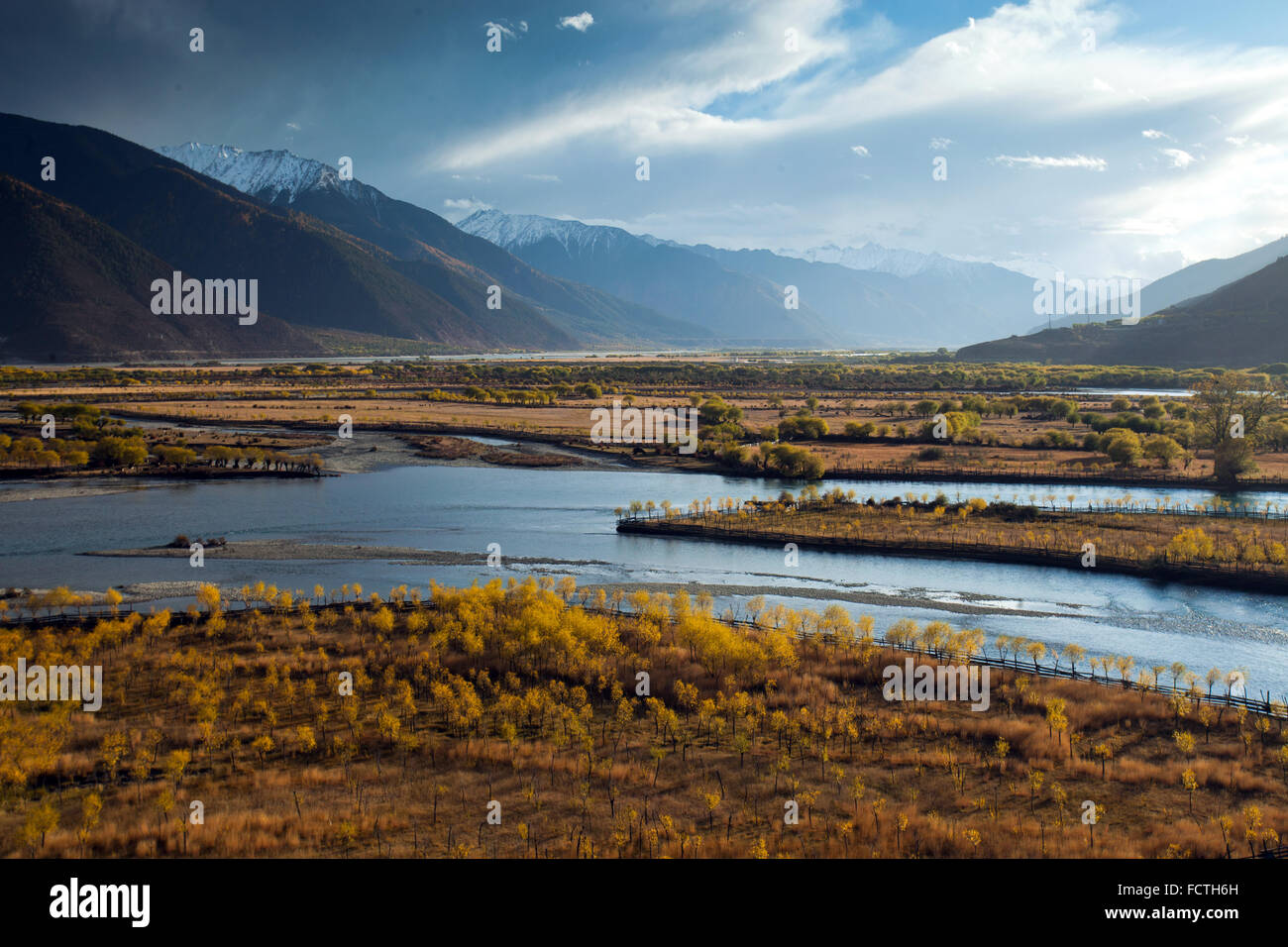 Linzhi hi-res stock photography and images - Alamy