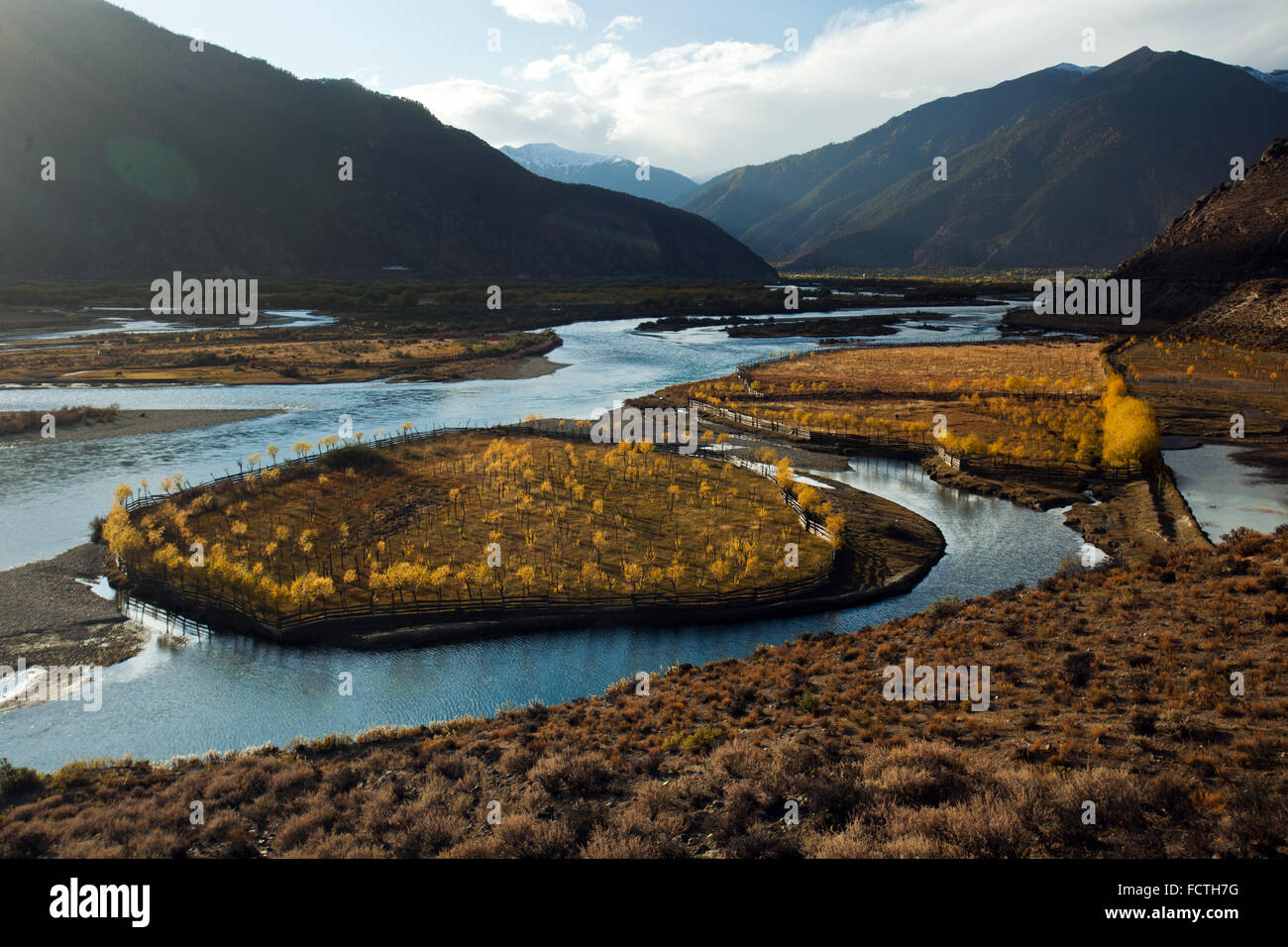 Linzhi hi-res stock photography and images - Alamy