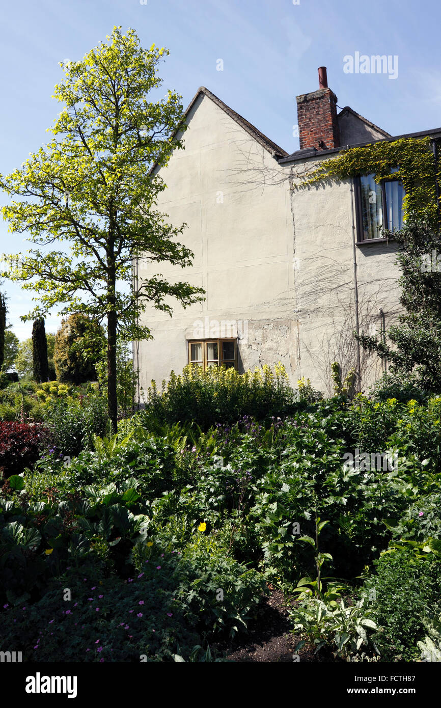 SHRUBS GROWING IN AN ENGLISH COTTAGE GARDEN AT RHS HYDE HALL. UK Stock ...