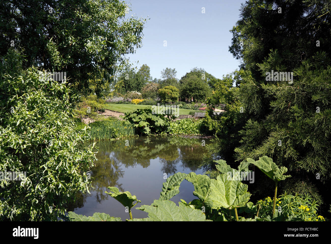 GARDEN POND AT RHS HYDE HALL ESSEX UK Stock Photo - Alamy