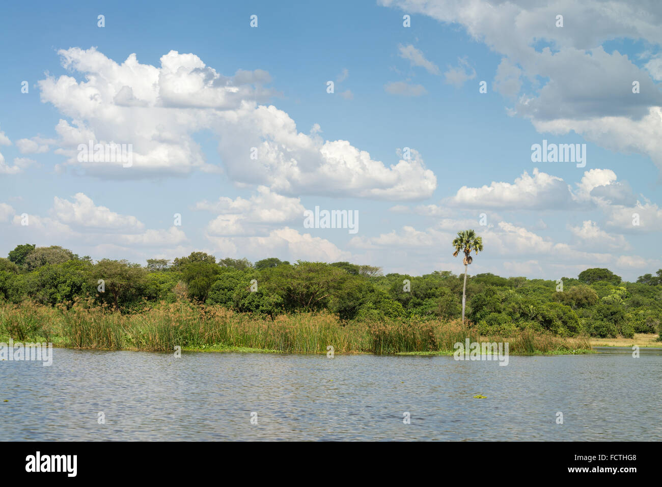 Victoria nile delta hi-res stock photography and images - Alamy