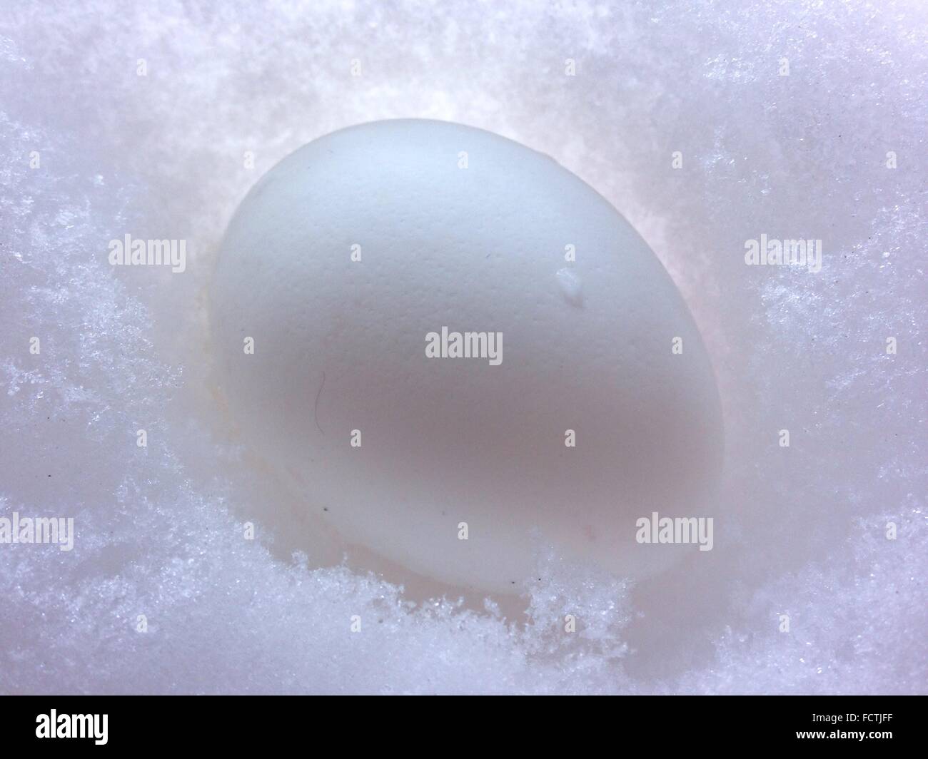 White egg in new powder snow Stock Photo - Alamy