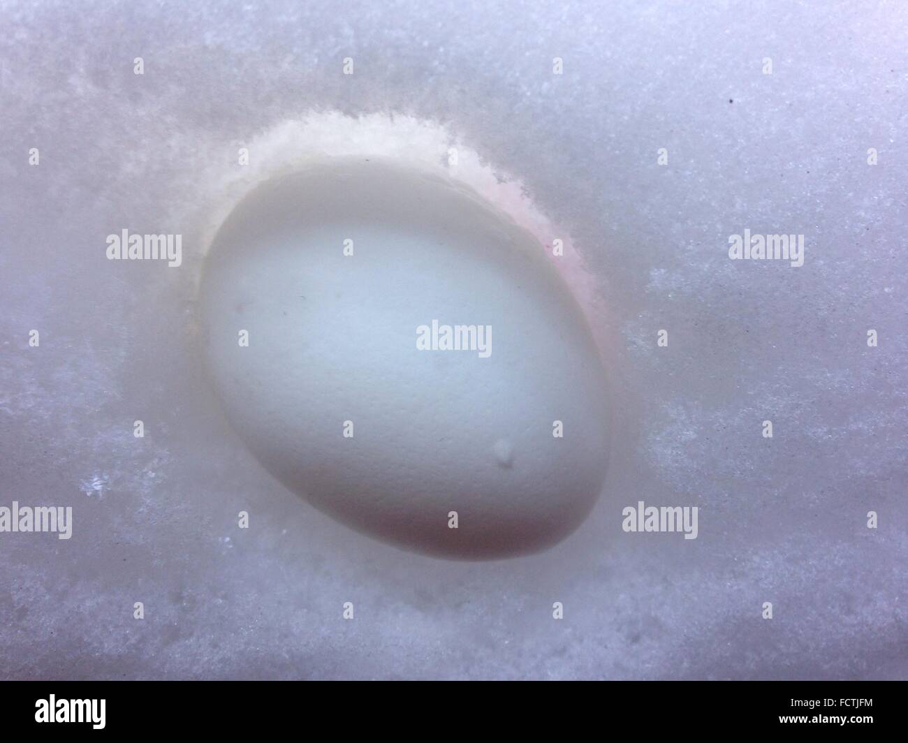 One snow drop hi-res stock photography and images - Alamy