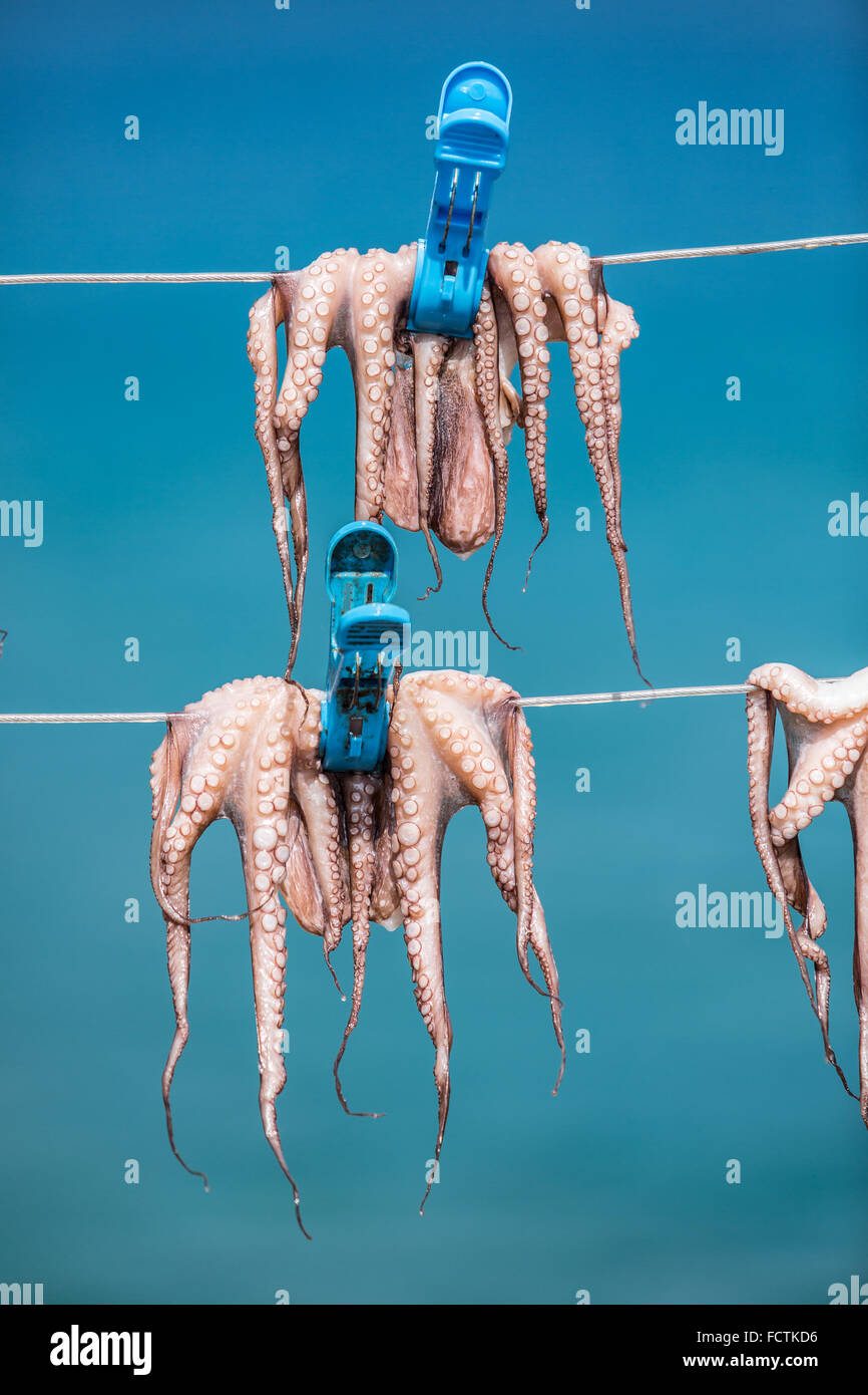 Octopus bay hi-res stock photography and images - Alamy