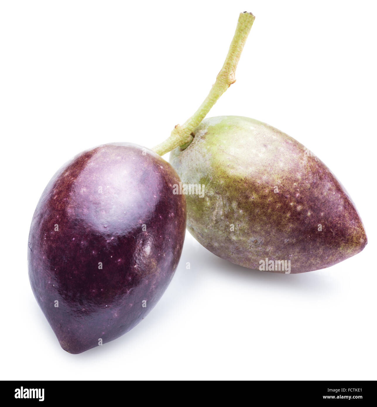 Half-ripe (semi-ripe) fresh olives with leaves on the white background ...