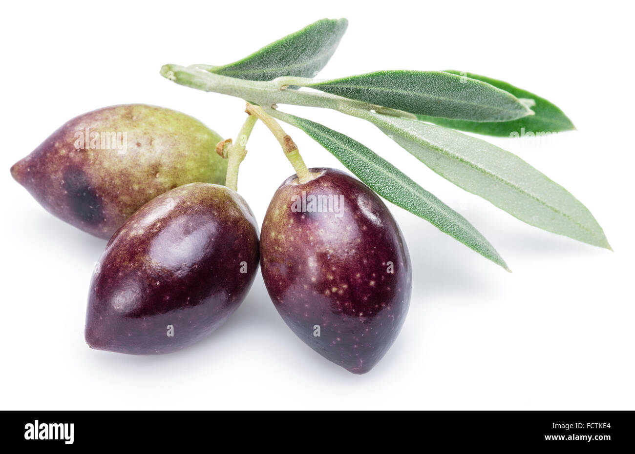 Three fresh olives with leaves on the white background Stock Photo - Alamy