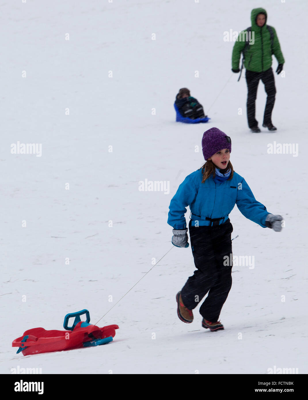 snow, park, bobsleigh Stock Photo - Alamy