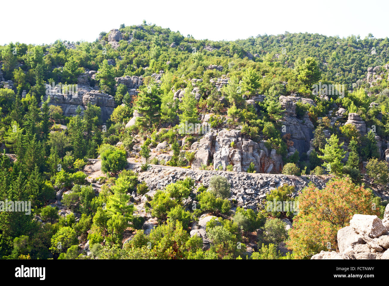the hill in asia turkey selge old architecture ruins and nature Stock ...