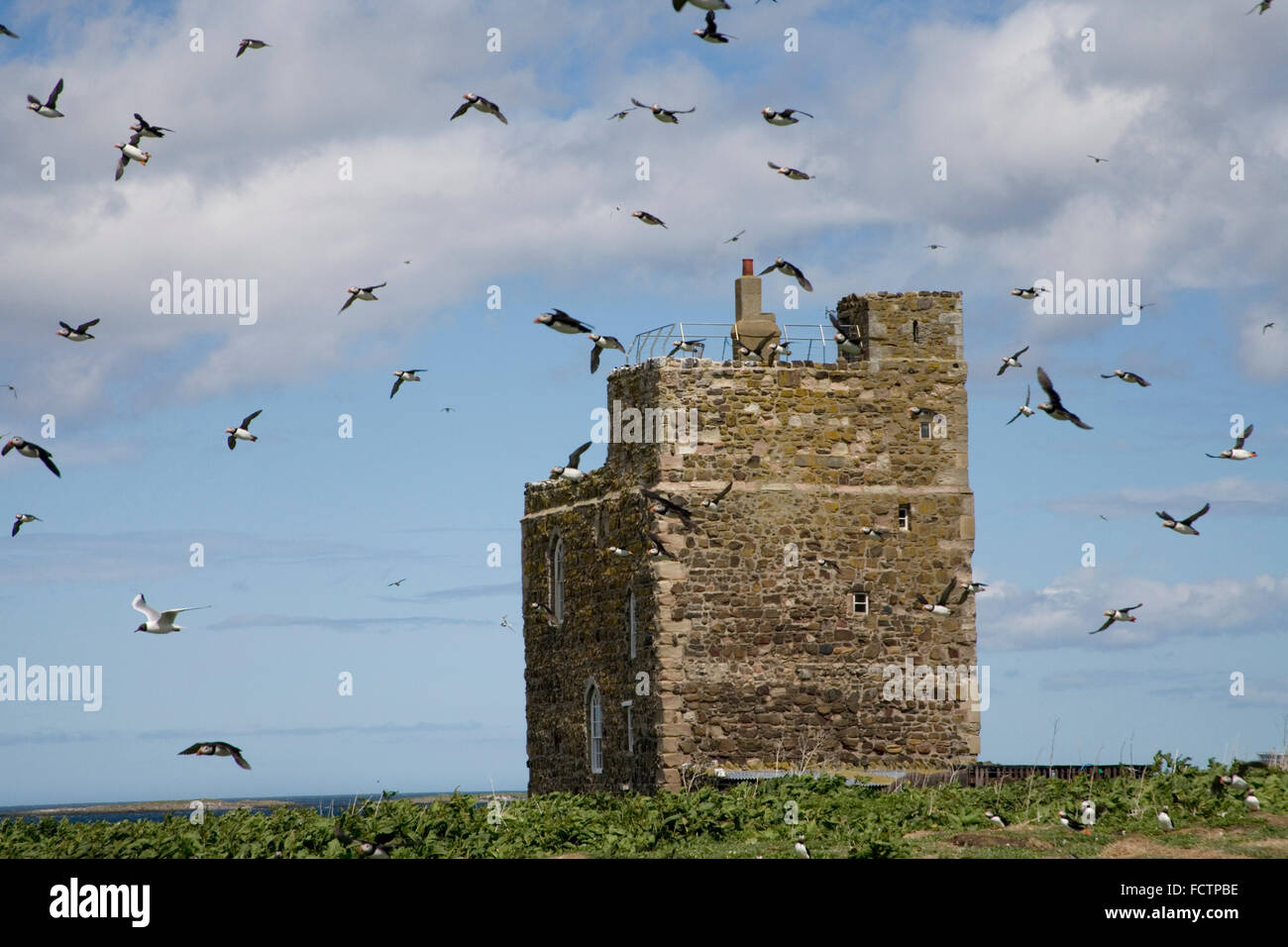 Fly Tower High Resolution Stock Photography and Images - Alamy