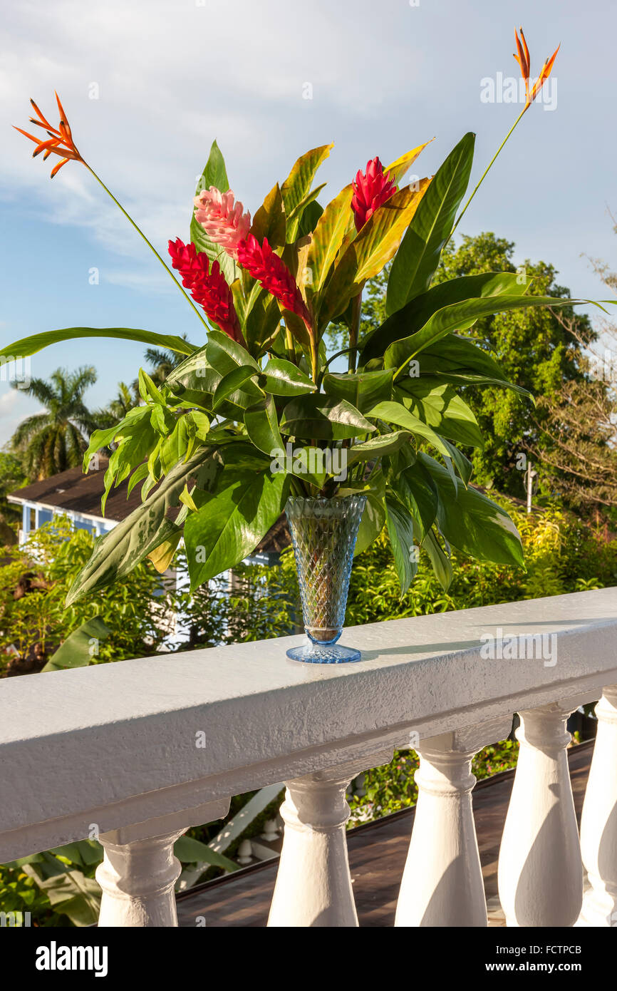 beautiful tropical red ginger flowers Stock Photo - Alamy