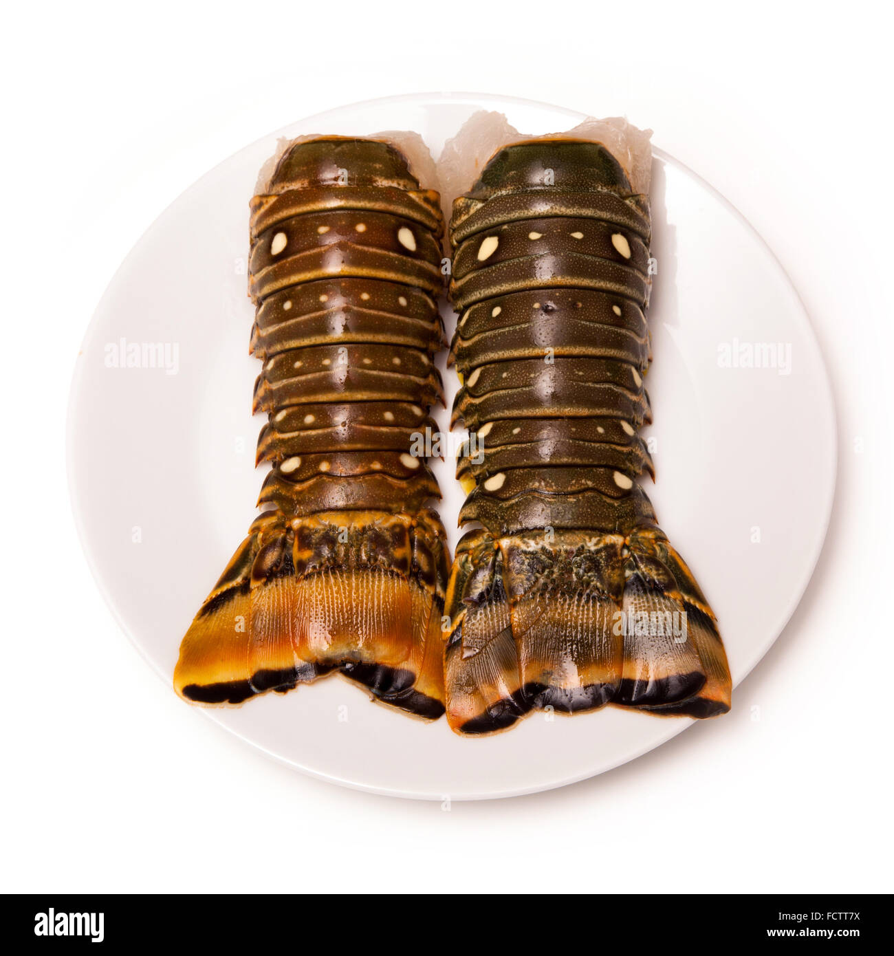 Raw Caribbean ( Bahamas ) rock lobster (Panuliirus argus) or spiny ...