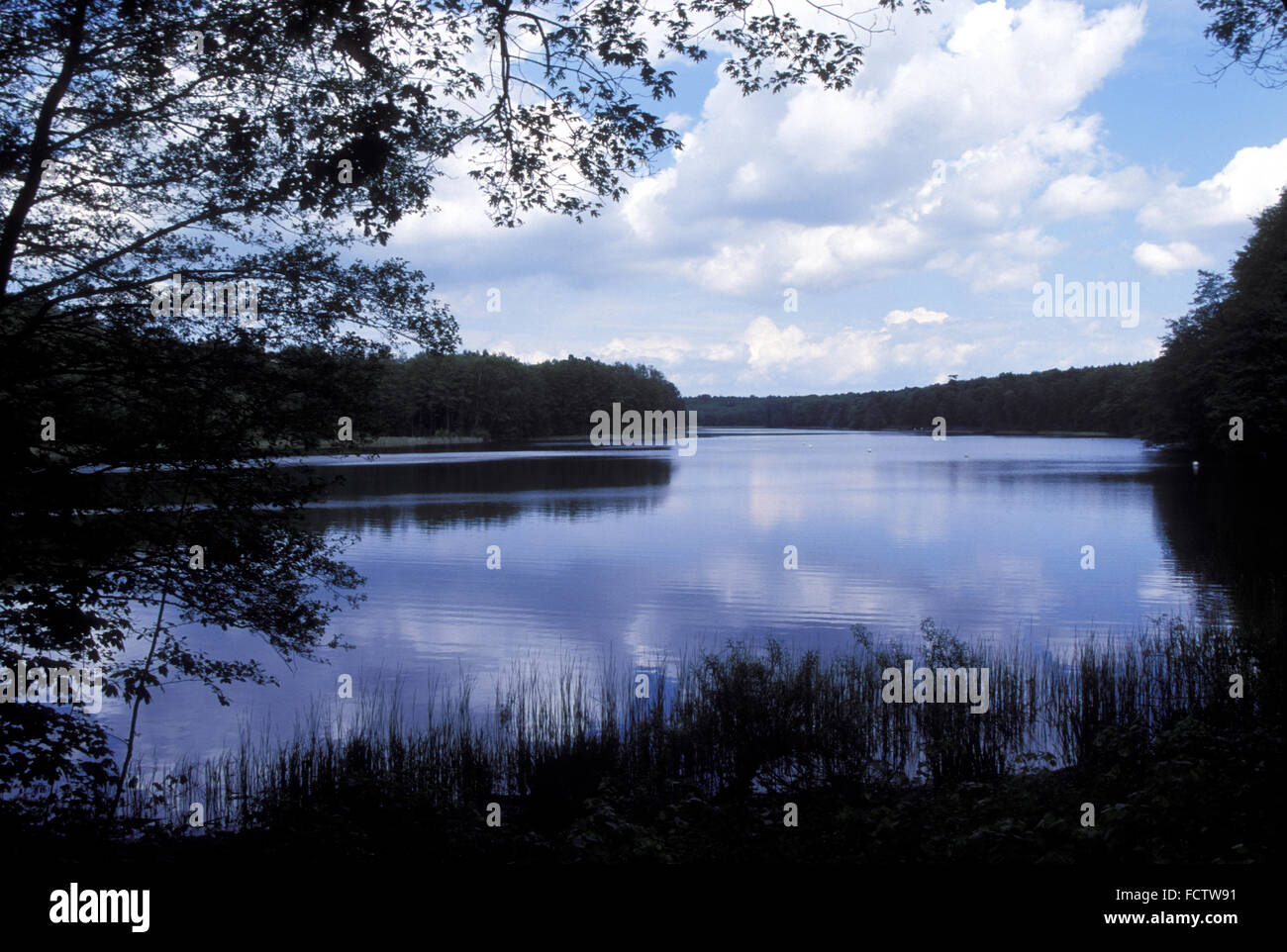 Grunewald lake hi-res stock photography and images - Alamy