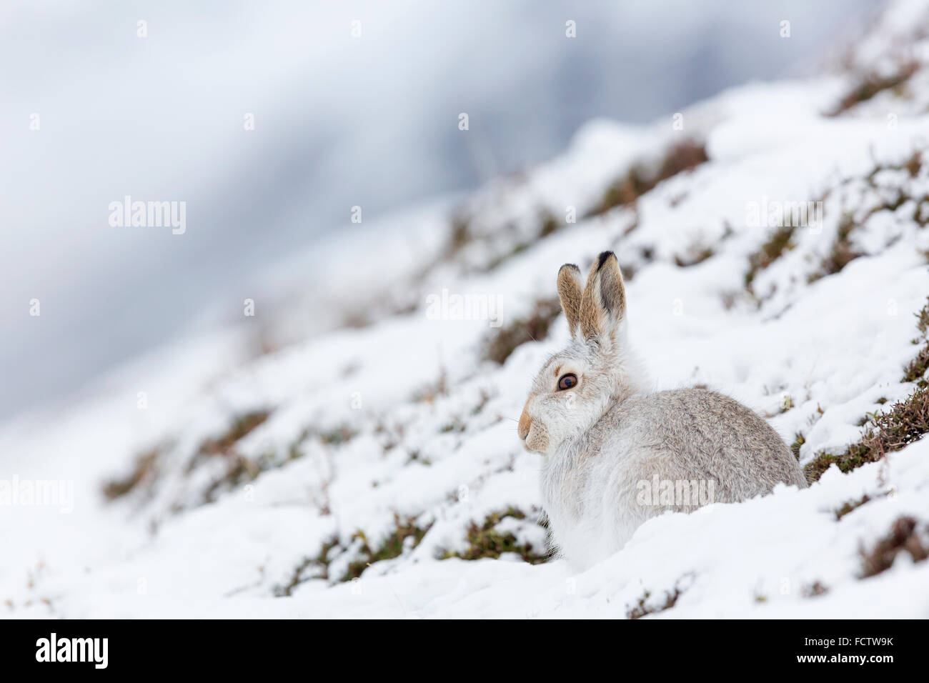 Findhorn valley inverness hi-res stock photography and images - Alamy