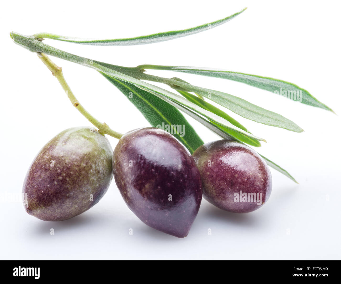 Three fresh olives with leaves on the white background Stock Photo - Alamy