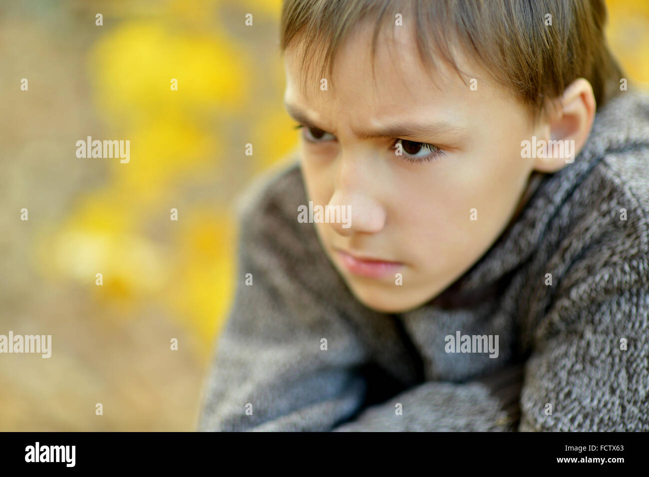 sad boy in autumn park Stock Photo - Alamy