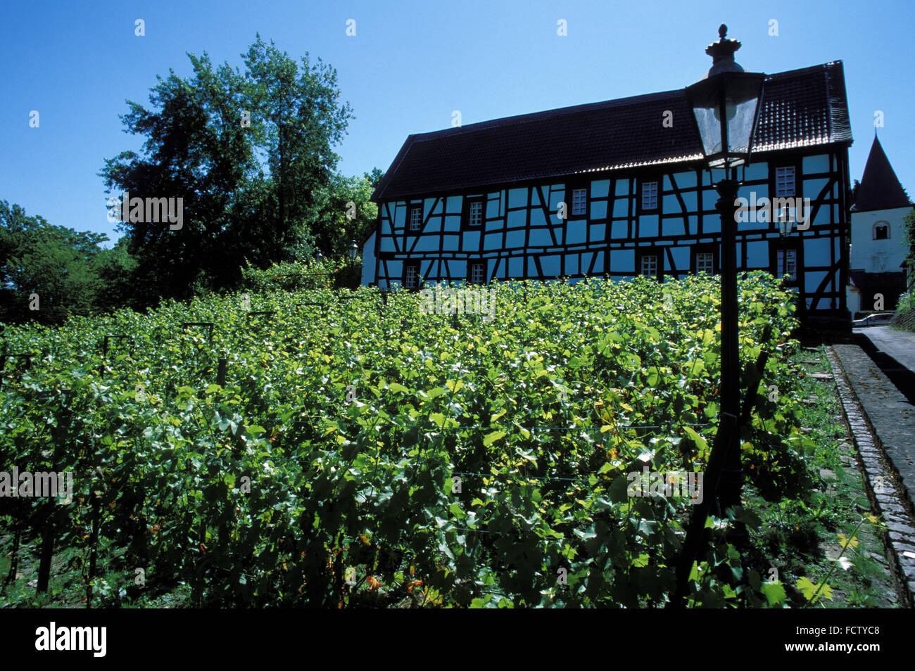 DEU, Germany, Bonn, wine-growing and half-timbered house in the town ...