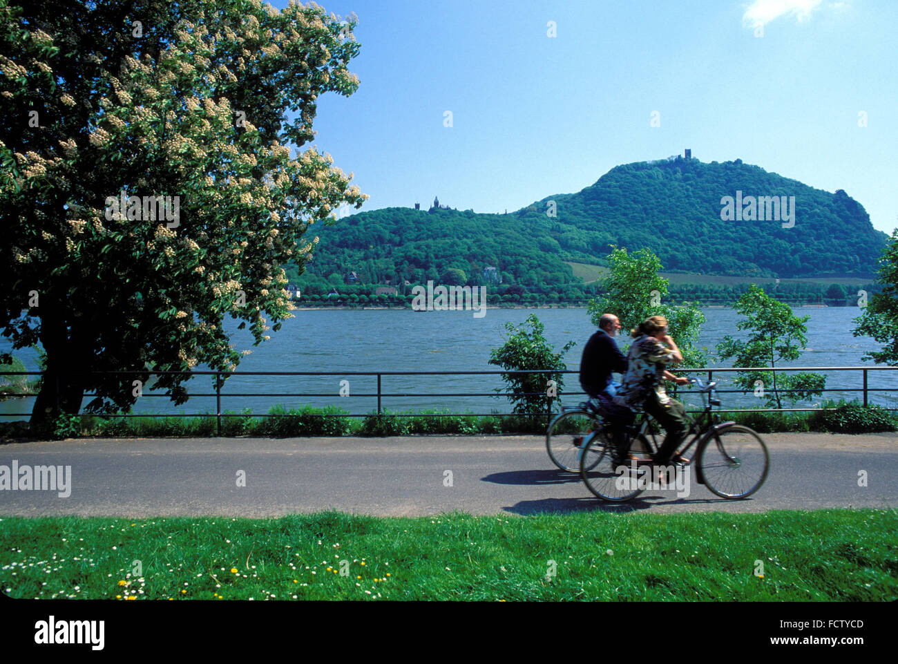 Rhein mehlem hi-res stock photography and images - Alamy
