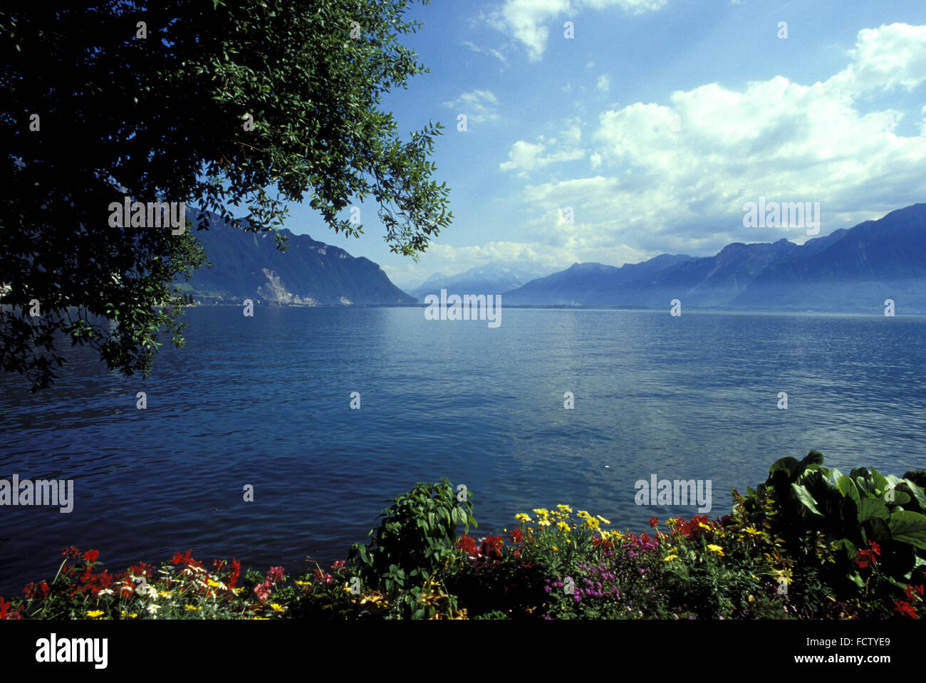CHE, Switzerland, the Lake Geneva near Montreux. CHE, Schweiz, der ...