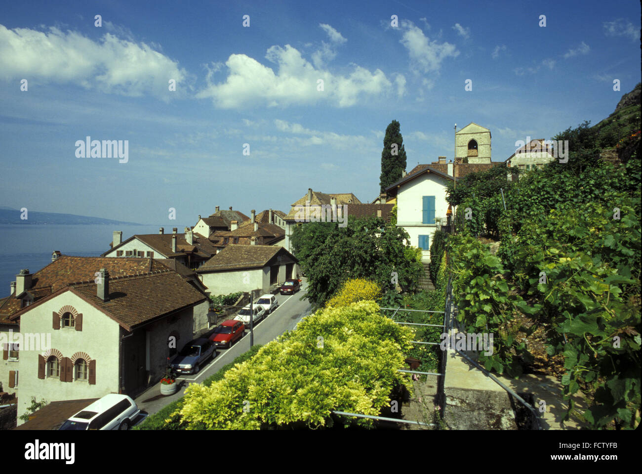 CHE, Switzerland, St. Saphorin at Lake Geneva. CHE, Schweiz, St ...