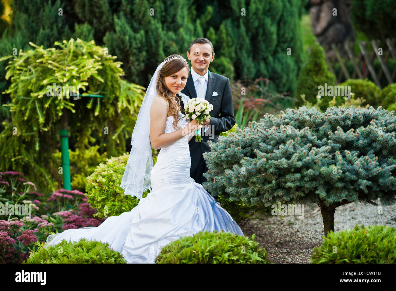 Wedding couple on the yard with ornamental plants and shrubs Stock ...