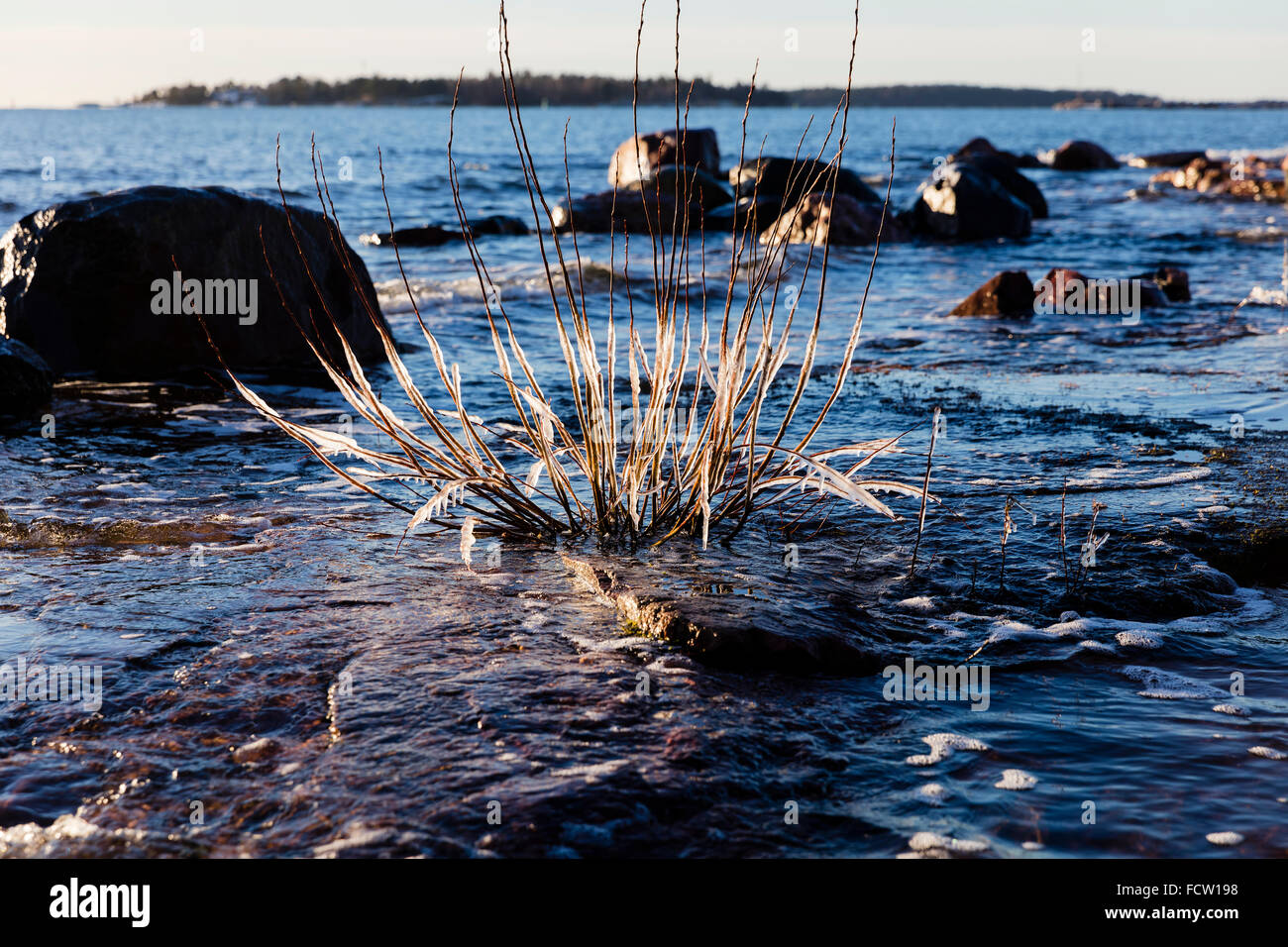 Freeze surface hi-res stock photography and images - Alamy