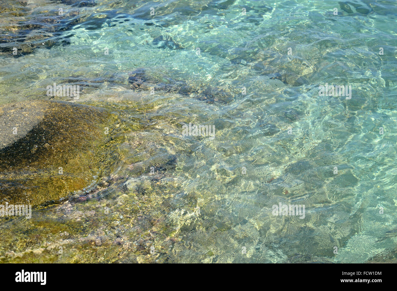 Sparkling transparent sea water with seabed and stones Stock Photo - Alamy