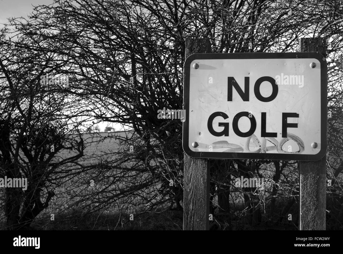No Golf