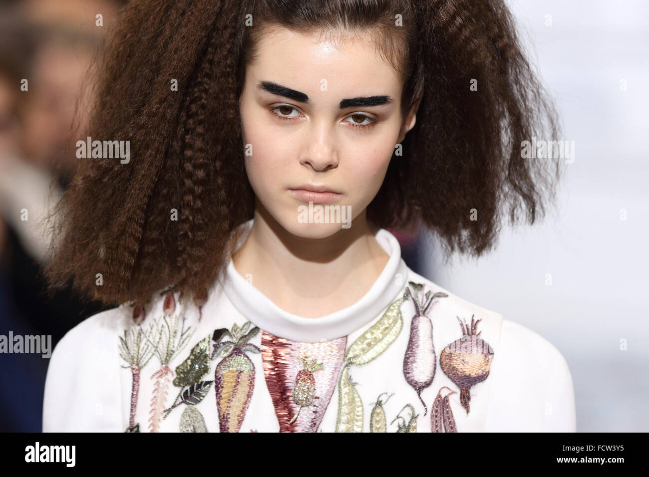 Paris, France. 25th Jan, 2016. A model wears a creation by French ...