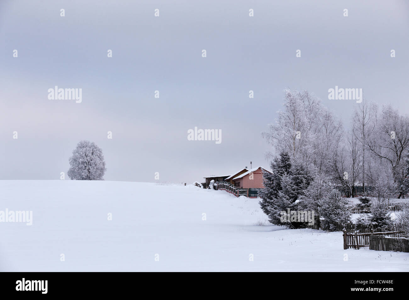 Snowy winter in a village. Belarus Stock Photo - Alamy