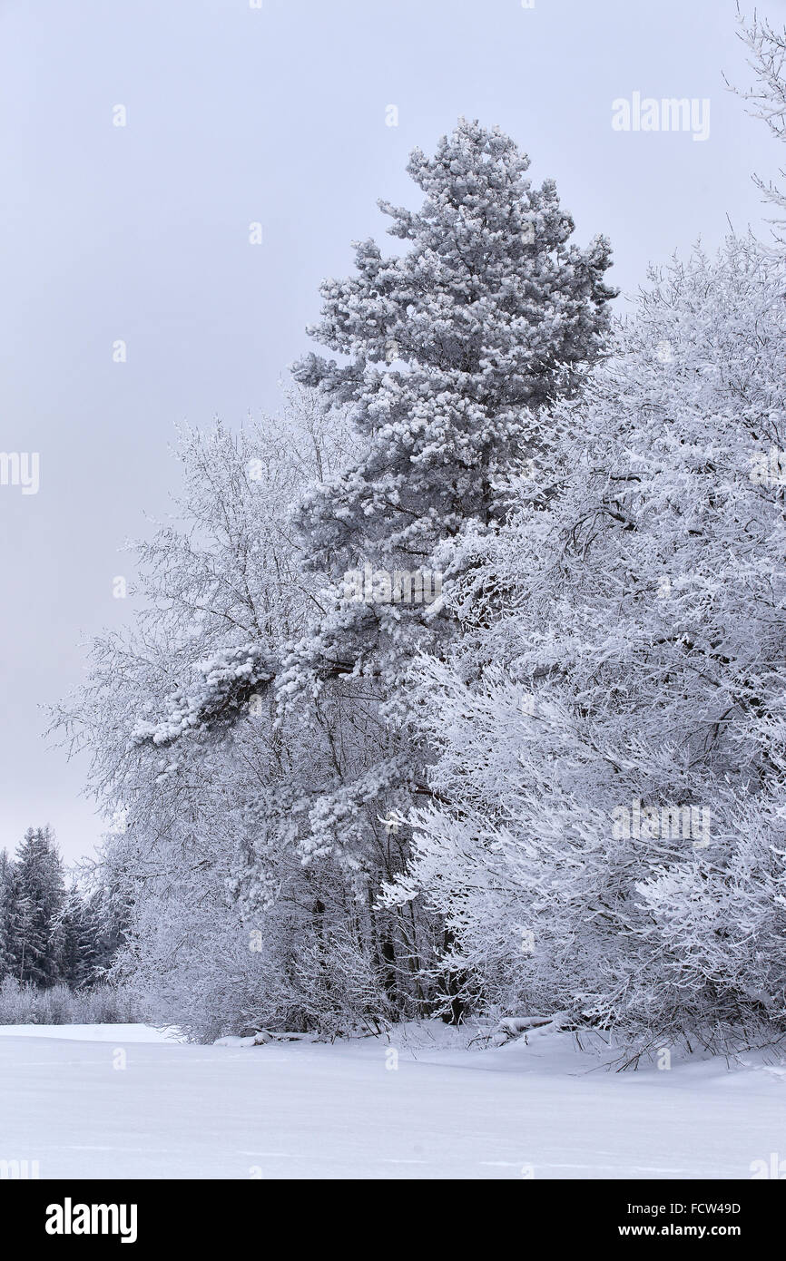 Cold january skyline hi-res stock photography and images - Alamy