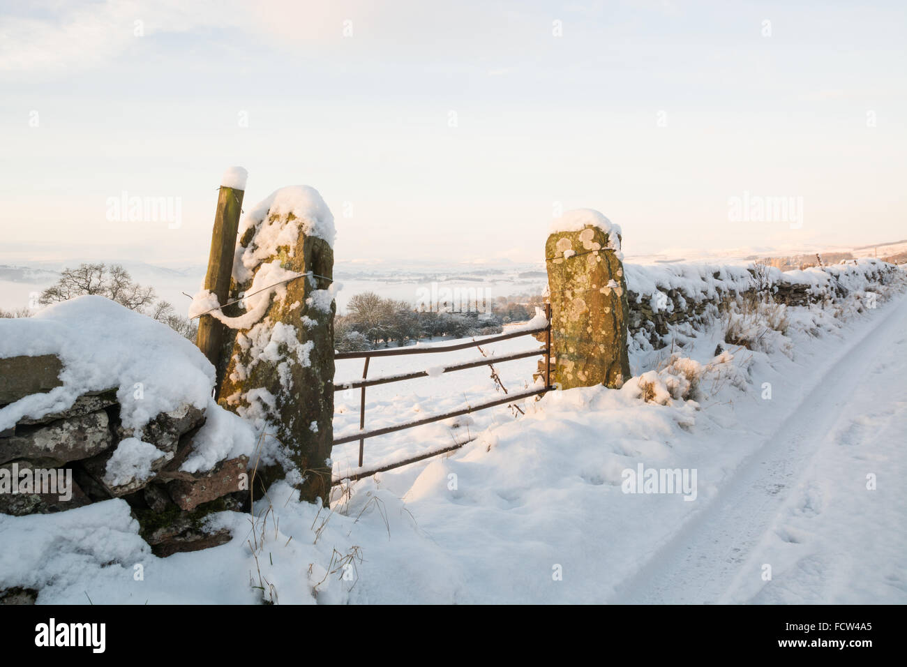 Roadside gate in the snow Stock Photo - Alamy
