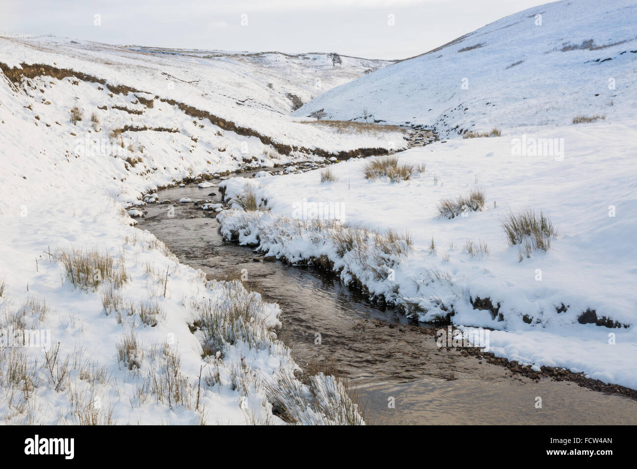Stream in a snowy landscape Stock Photo - Alamy