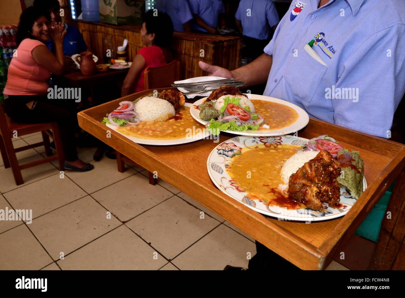 Ganso azul hi-res stock photography and images - Alamy
